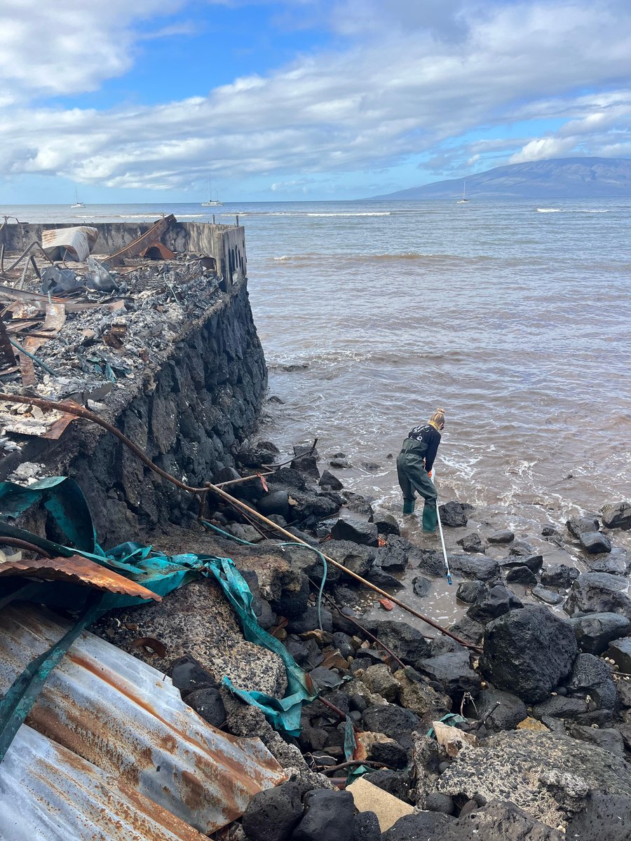 Initial Post-fire Water Quality Results for Lāhainā, Maui