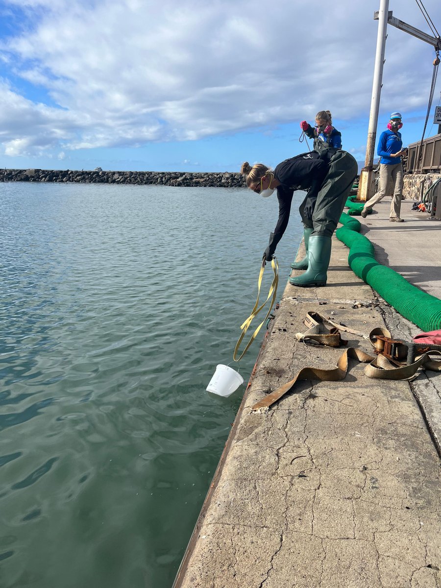 Initial Post-fire Water Quality Results for Lāhainā, Maui