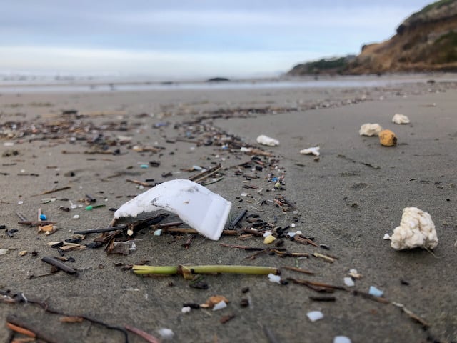 Foam-Free Oregon: The End of Polystyrene in Food Service
