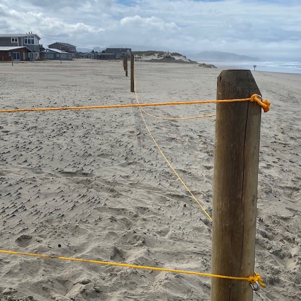 Lines in the Sand: Managing Private Property on Public Beaches