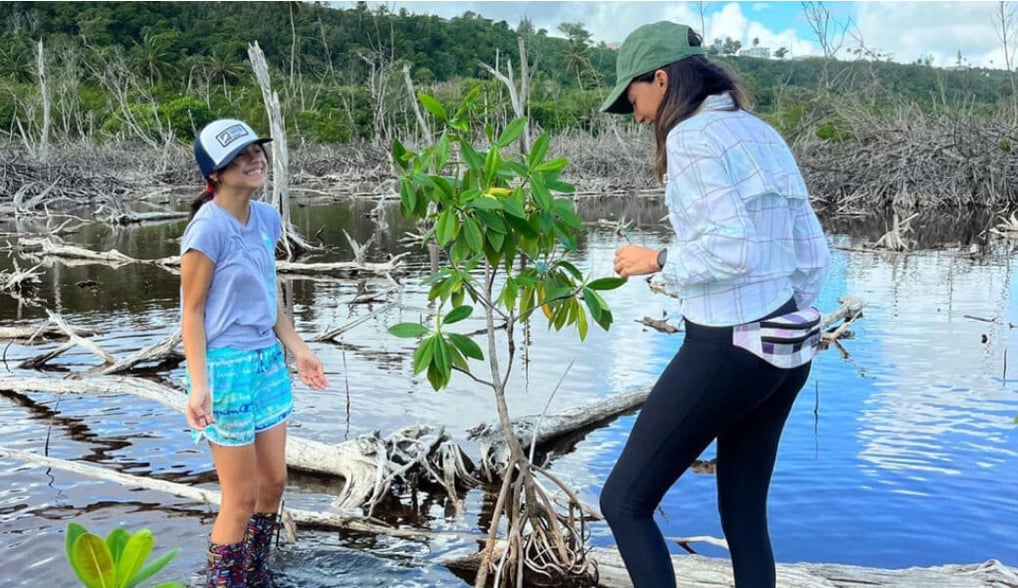 Climate Action Program