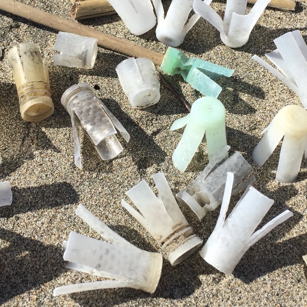 San Francisco Home Page