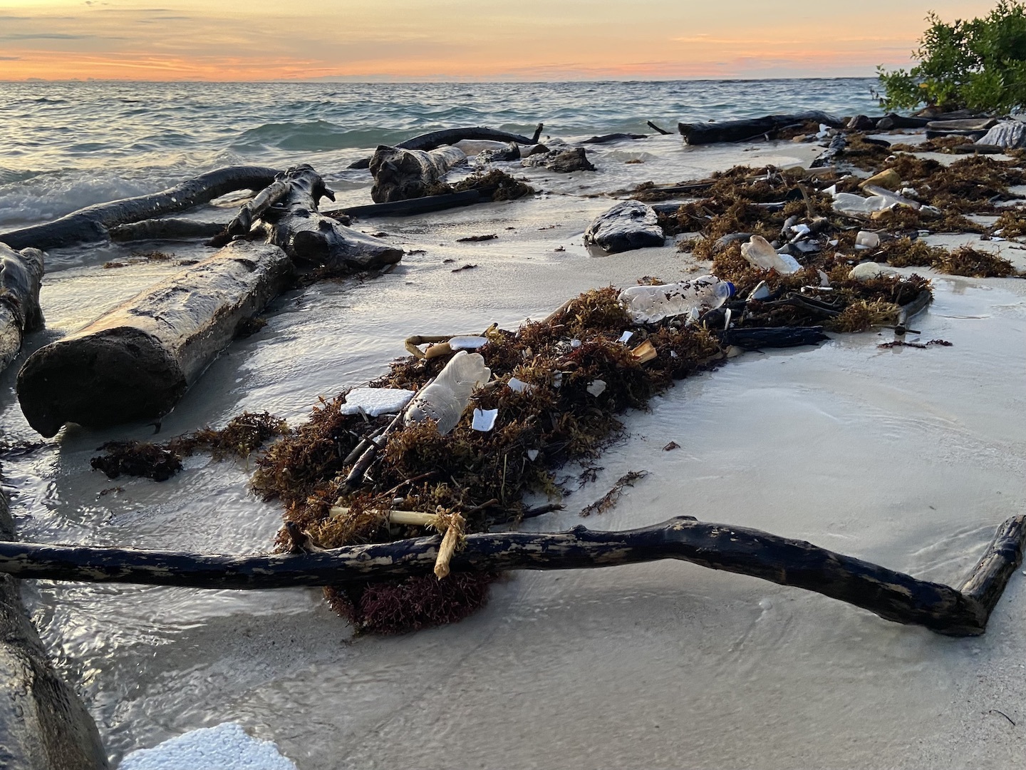 Plastic in Paradise – Solving a Worldwide Trash Problem Requires a ...