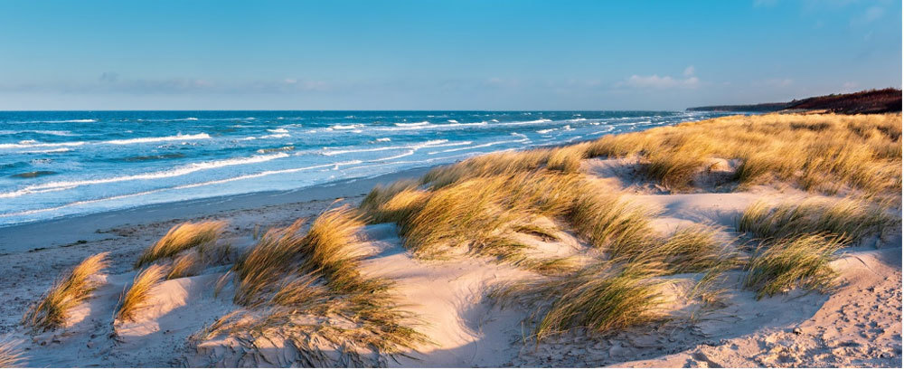 Nature-Based Solutions on our Coasts: A Frontline Defense Against ...