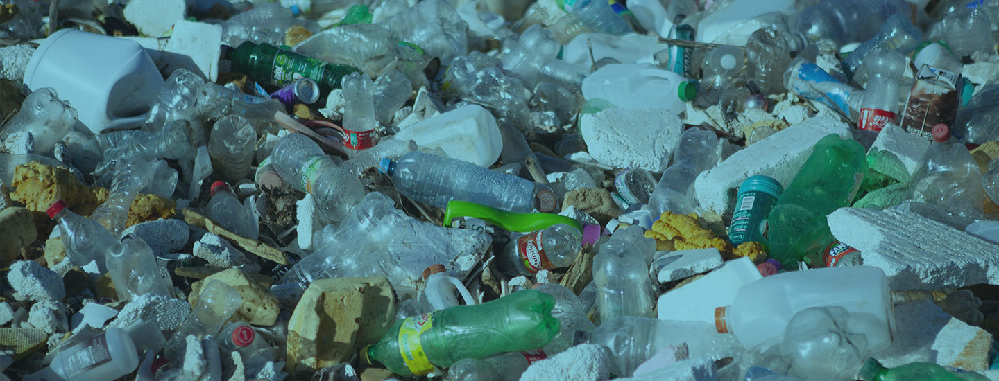 Victory: Washington State Passes Comprehensive Policy to tackle Plastic ...