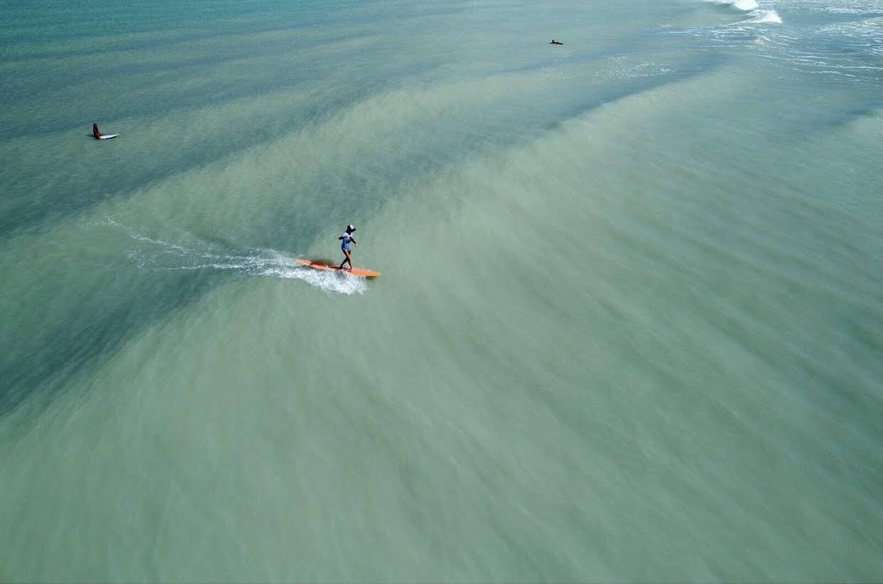 Activist Spotlight: Annie Tworoger with the Miami Blue Water Task Force