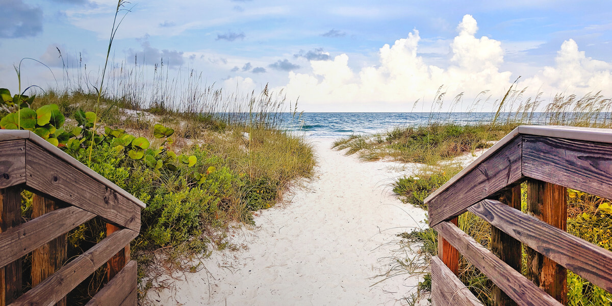 Keep Florida's State Parks Wild